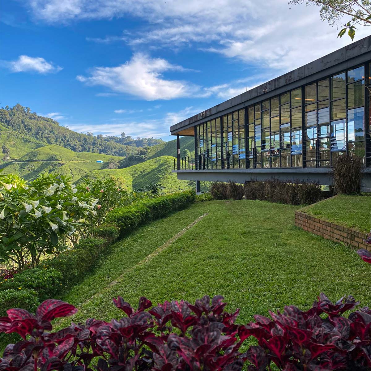 The Best One Day Trips From Kuala Lumpur
