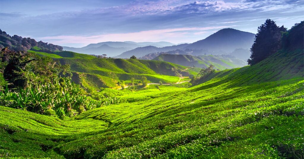 Best Places to Visit in Pahang for Nature and Wildlife